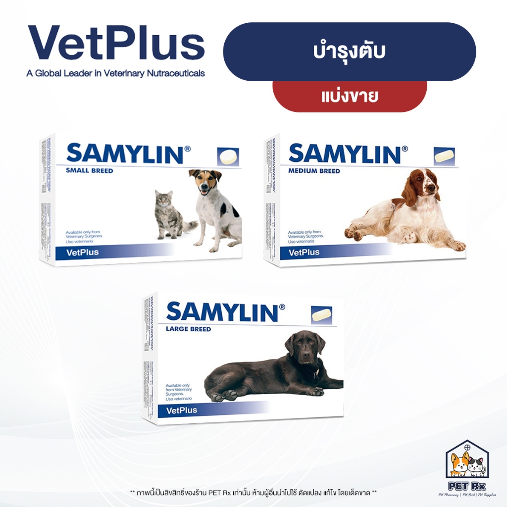 [แบ่งขาย!] SAMYLIN [แท้💯] Small / Medium / Large อาหารเสริมเพื่อบำรุง ...
