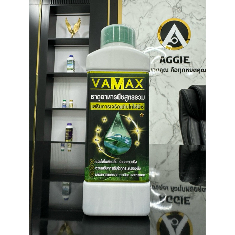 VAMAX ปุ๋ยธาตุอาหารรองเสริมพืช ขนาด 1 ลิตร (สูตรเร่งการเจริญเติบโตของ ...