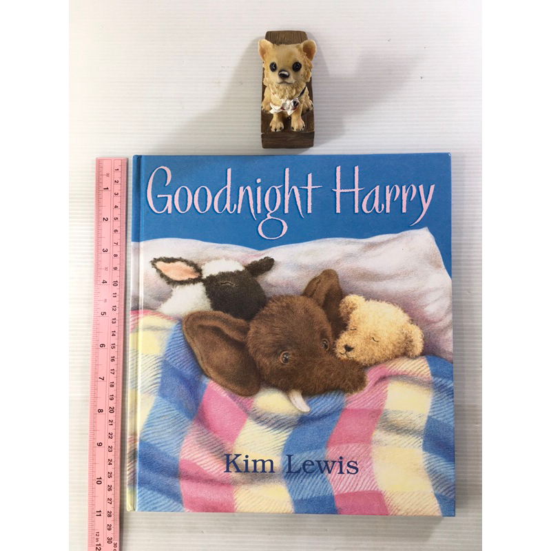 Goodnight Harry By Kim Lewis หนังสือภาษาอังกฤษ (มือสองปกแข็ง) | Shopee ...