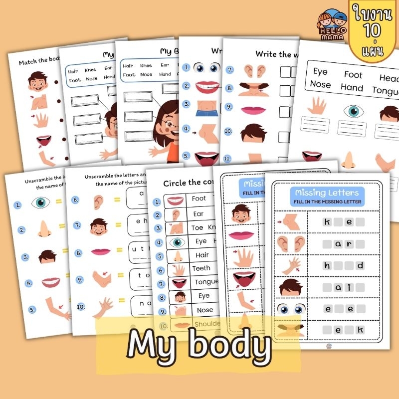 ใบงาน "My Body" ทักษะภาษาและความเข้าใจ (ปริ้นสี 10 แผ่น) | Shopee Thailand