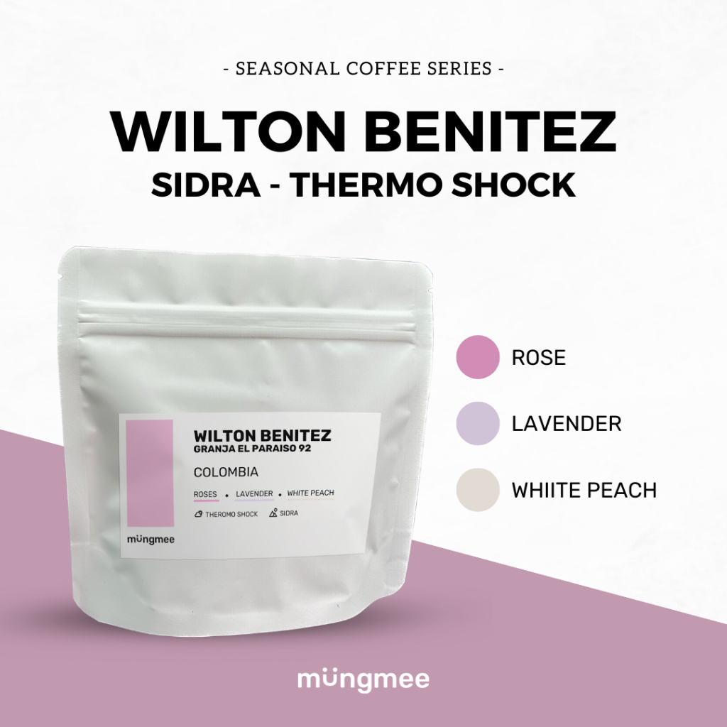 Mungmee Coffee เมล็ดกาแฟ Colombia - Sidra Theromo shock (Wilton benitez, Granja El Paraiso 92 ...