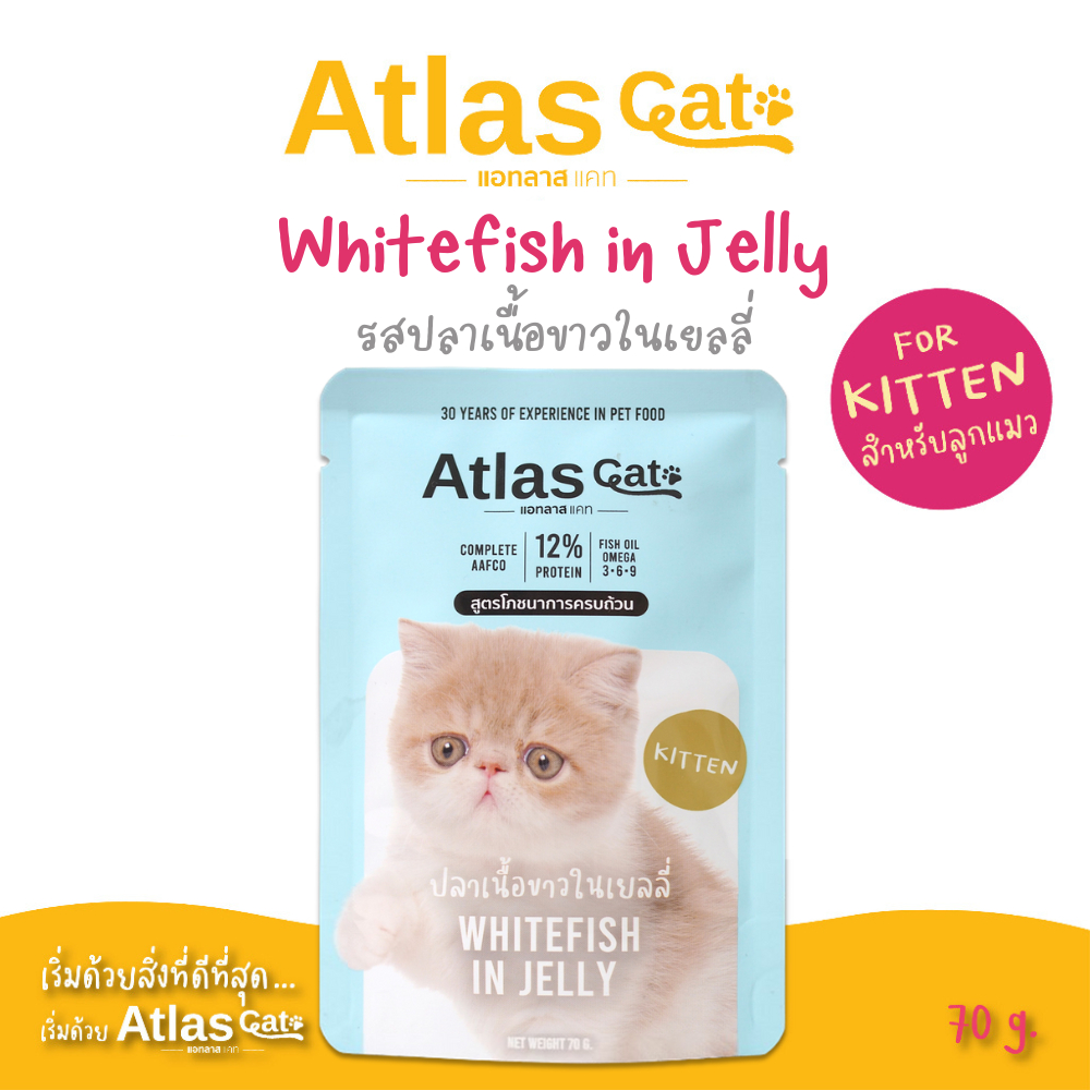Atlas Cat แอทลาส แคท (แพ็ค 1) คิตเท้น ปลาเนื้อขาวในเยลลี่ 70 กรัม ...