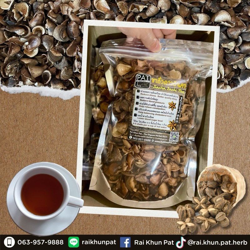 ชาเปลือกถั่วดาวอินคา Sacha Inchi Shell Tea | Shopee Thailand
