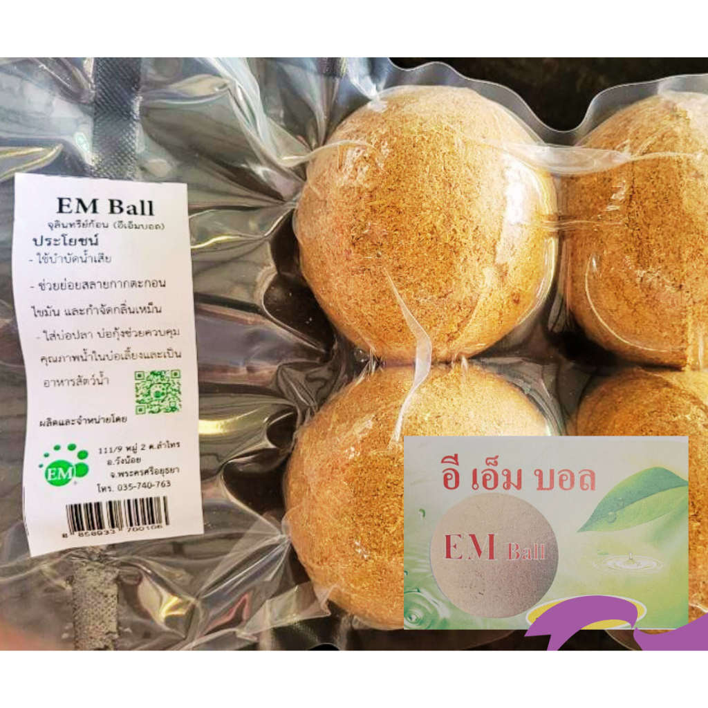 EM Ball อีเอ็มบอล แพคอย่างดี4ลูก ของแท้ 100% หัวเชื้อ ช่วยบำบัดน้ำเสีย ...
