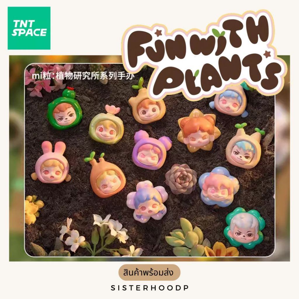 ⭐️พร้อมส่ง / ซื้อใน Live ได้⭐️ แบบสุ่ม TNTSPACE Fun with Plant Mini ...