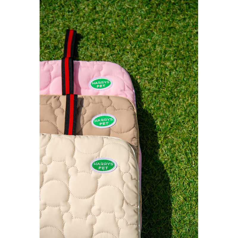 HARRYSPET - Ice Pack Pouch Ice Coolier - Pocket Pouch | Shopee Thailand
