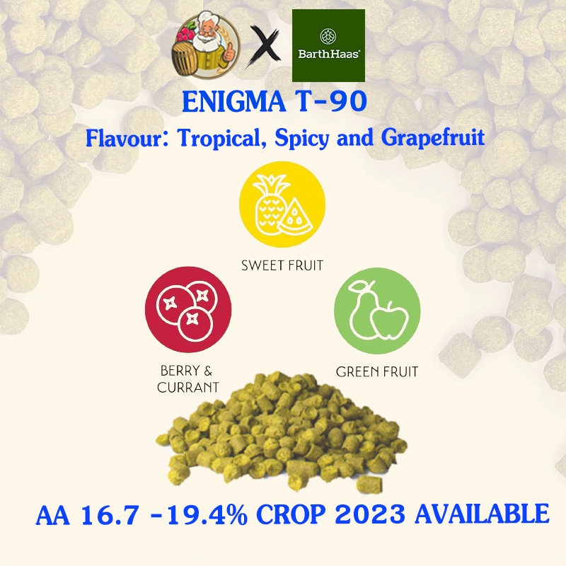 Enigma (AUS) PELLET HOPS (T90) Crop Year 2023 hops ทำเบียร์ hops beer ฮ ...