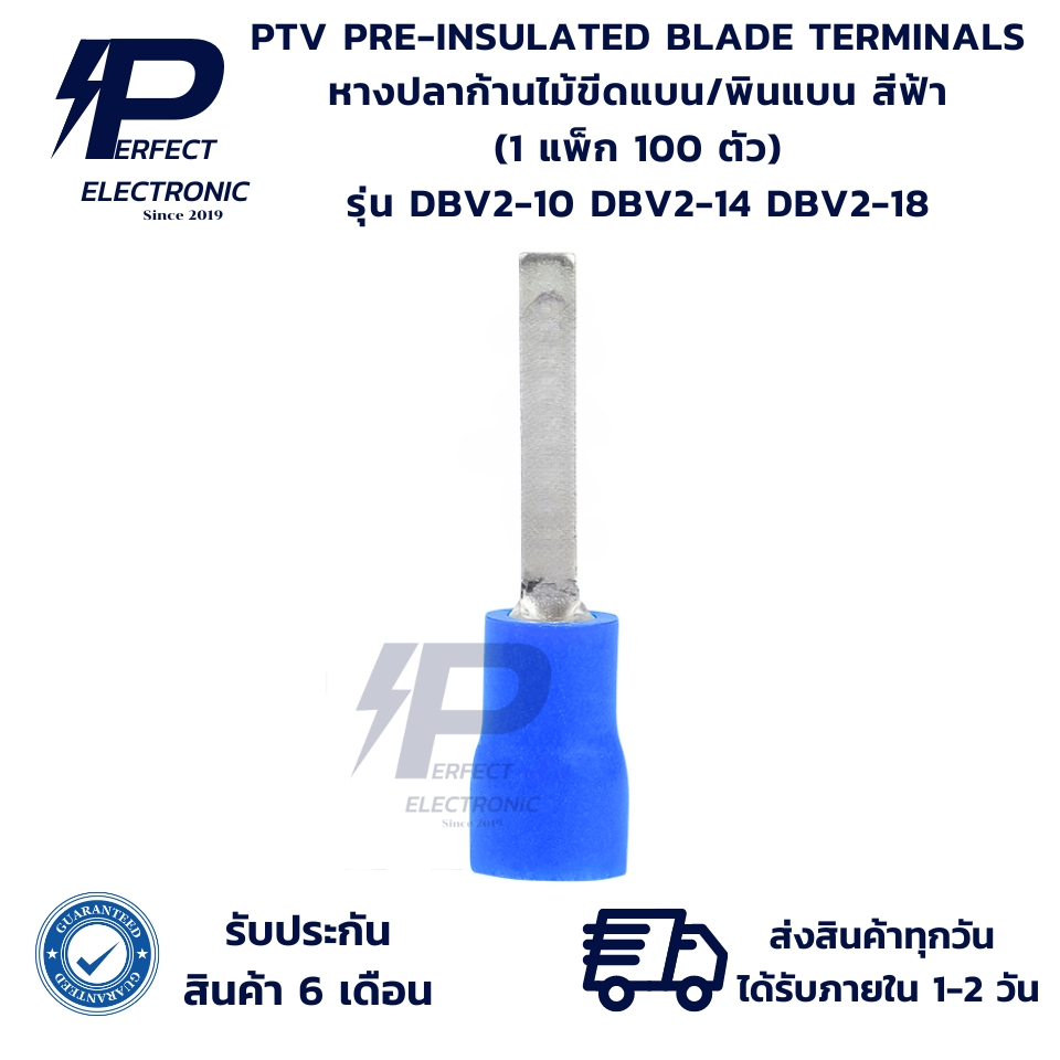 DBV2-10 DBV2-14 DBV2-18 หางปลาเข็ม/ก้านไม้ขีด สีฟ้า " 1 แพ็ก 100 ตัว ...