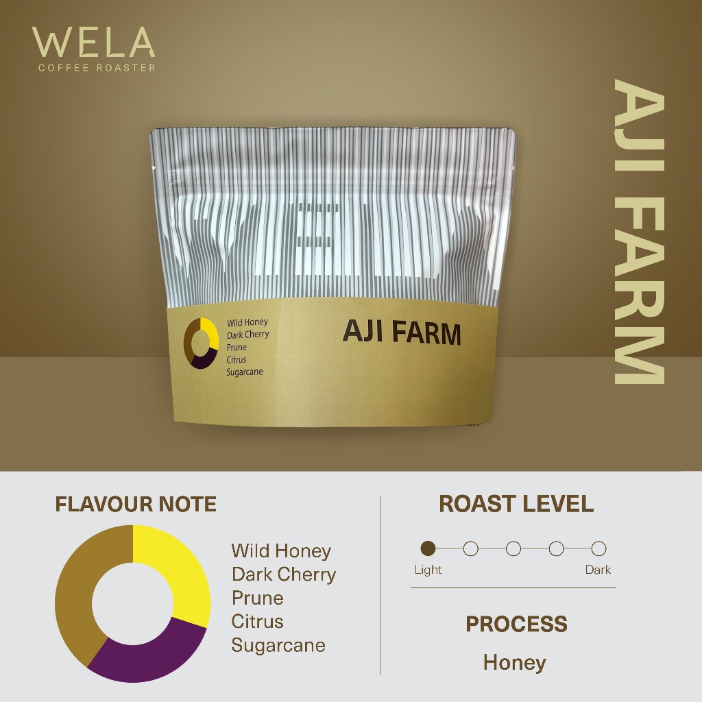 เมล็ดกาแฟคั่ว Aji Coffee Farm - Pangkhon, Honey Process, Light Roast ...