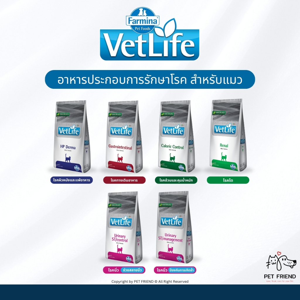 Vet Life 🐱 อาหารแมวประกอบการรักษาโรค จากอิตาลี HP Derma ...