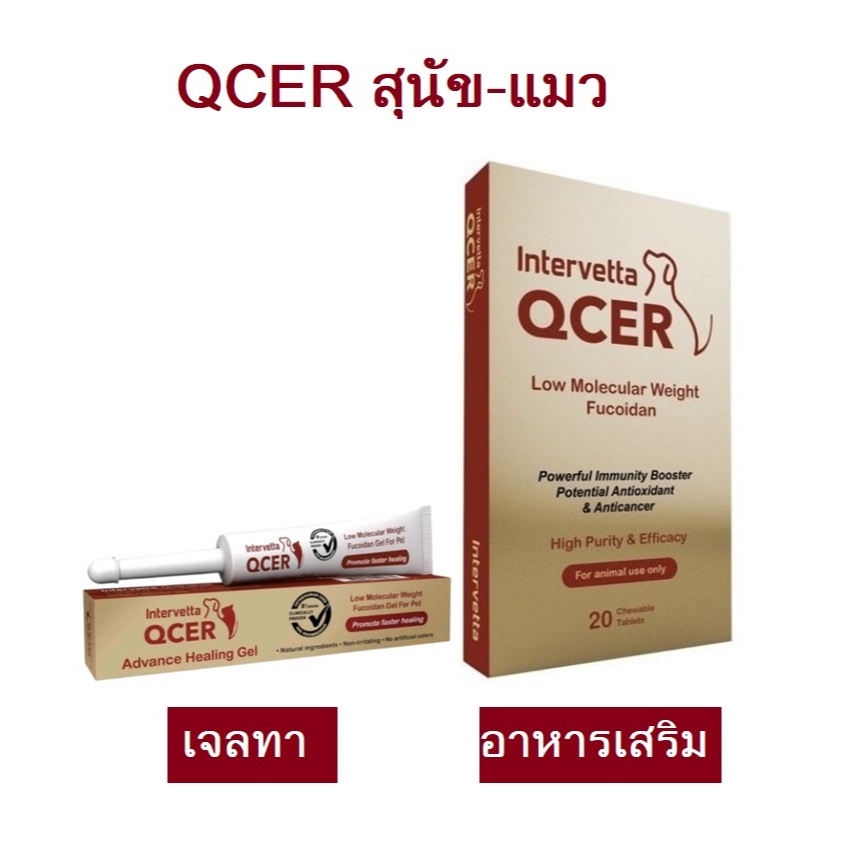 QCER คิวเซอร์ สำหรับสุนัข-แมว มะเร็ง เนื้องอก [หมดอายุปีหน้า 2026 ...