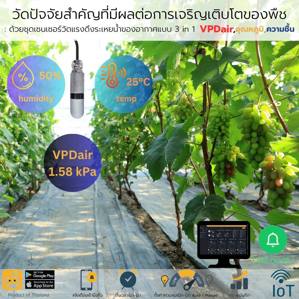 ชุด IoT 3 in 1: นวัตกรรมการวัดค่า VPDair, อุณหภูมิอากาศ, และความชื้นอากาศ | Shopee Thailand