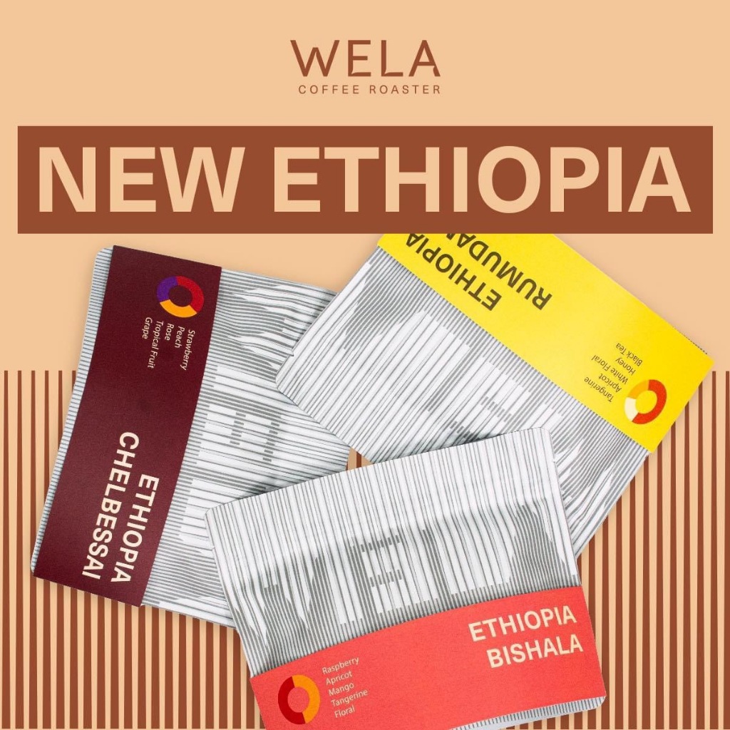 เมล็ดกาแฟ, ( ETHIOPIA SET) Rumudamo, Bishala, Chelbessai (200g ...
