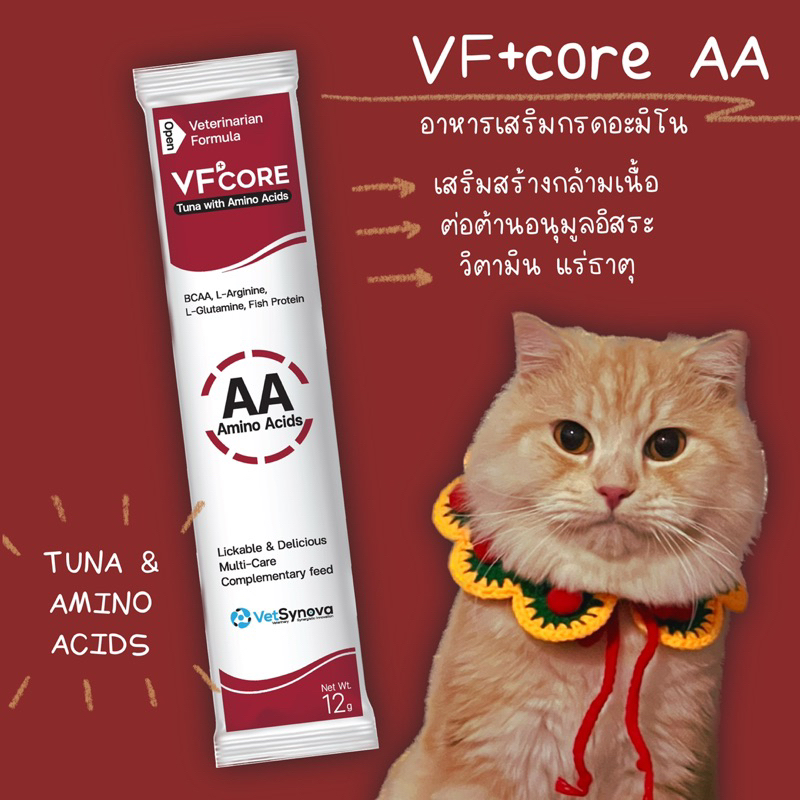 VFcore วิตามินบำรุงแมว ขนมแมวเลีย *แบบซอง* | Shopee Thailand