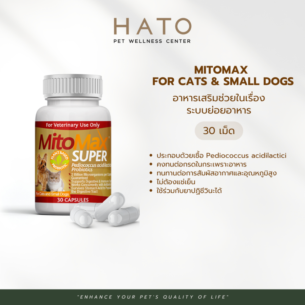 Mitomax Super For Small Dog & Cat อาหารเสริมสุนัขพันธุ์เล็ก-แมว ช่วยใน ...