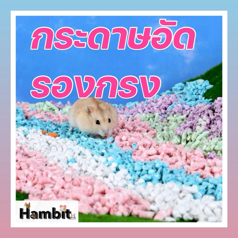 Hambit. กระดาษอัดรองกรง แฮมเตอร์ ขนาด 500 (g)กรัม ช่วยซับฉี่ดีมาก ลด ...
