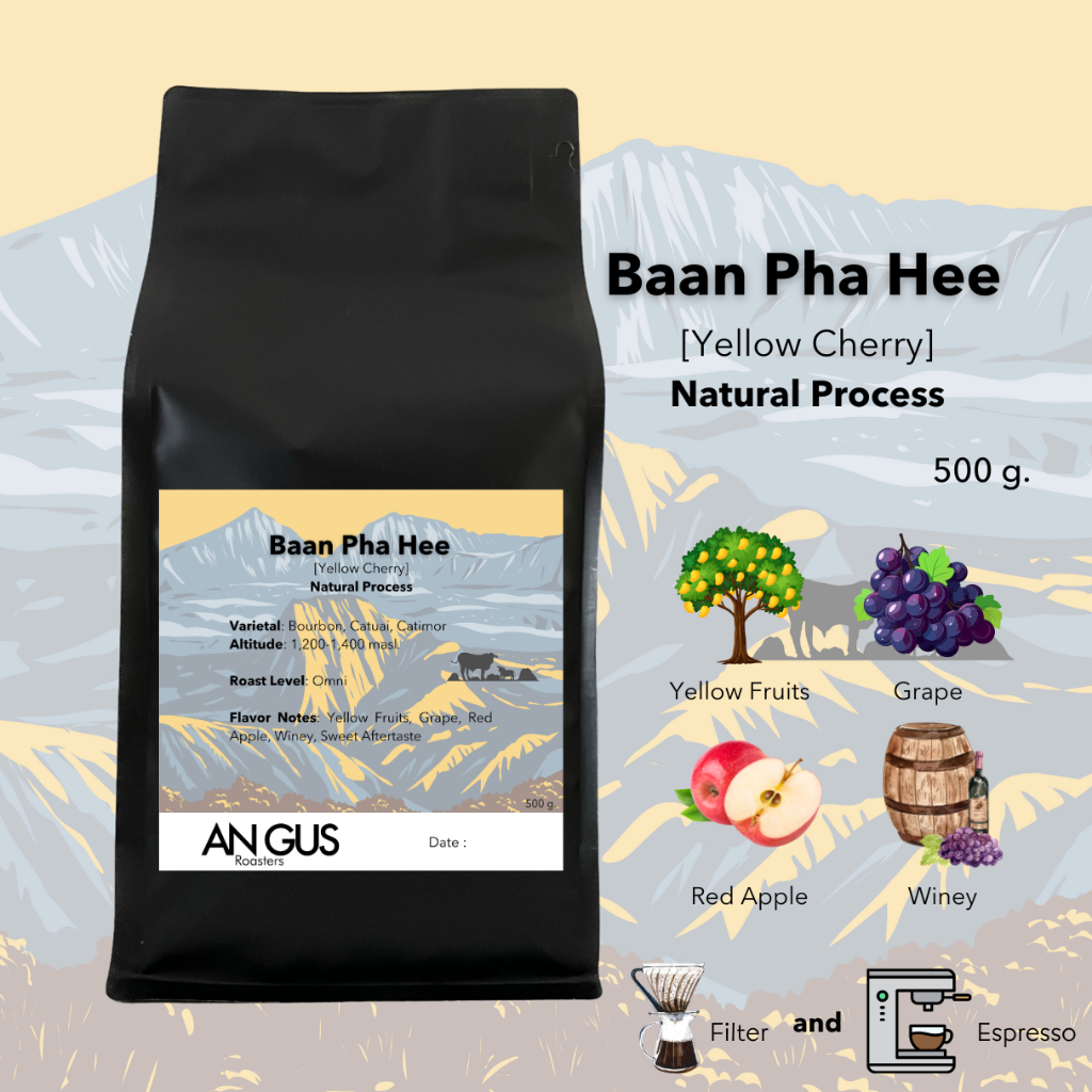 Angus Coffee Roasters เมล็ดกาแฟคั่ว Omni - Baan Pha Hee [Yellow Cherry ...