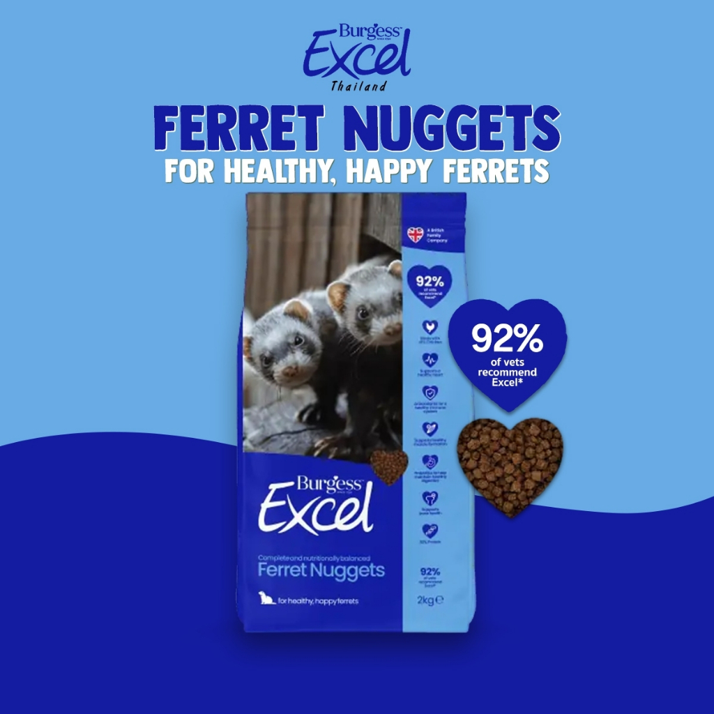 Burgess Excel Ferret Nuggets 2 KG - อาหารสัตว์เล็ก | Shopee Thailand