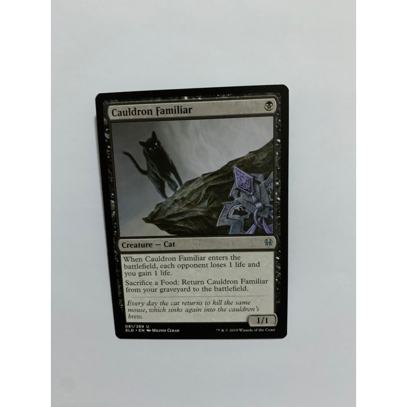 Cauldron Familiar MTG Commander EDH Single Card | Shopee Thailand