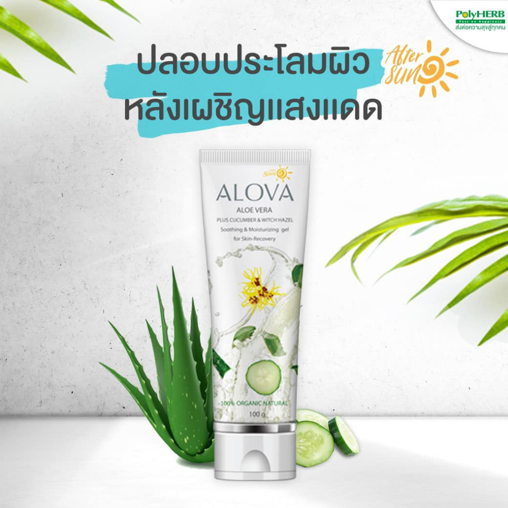 ALOVAผลิตภัณฑ์บำรุงผิวอโลว่า ผลิตภัณฑ์สำหรับผู้ที่ต้องสัมผัสกับแสงแดด ...