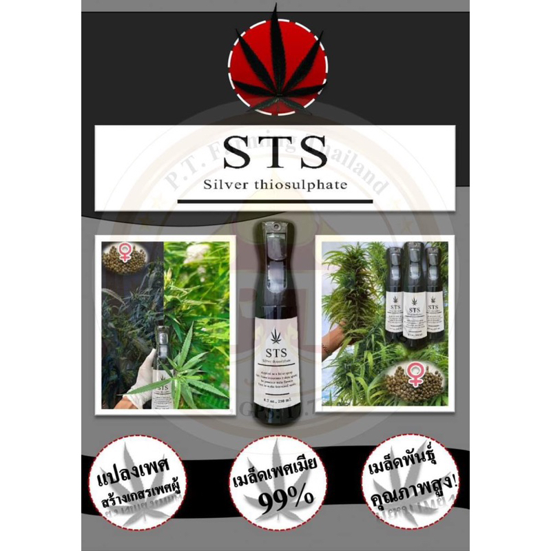 STSถุงเติมสำหรับท่านที่ต้องการความประหยัดคุ้มค่า | Shopee Thailand