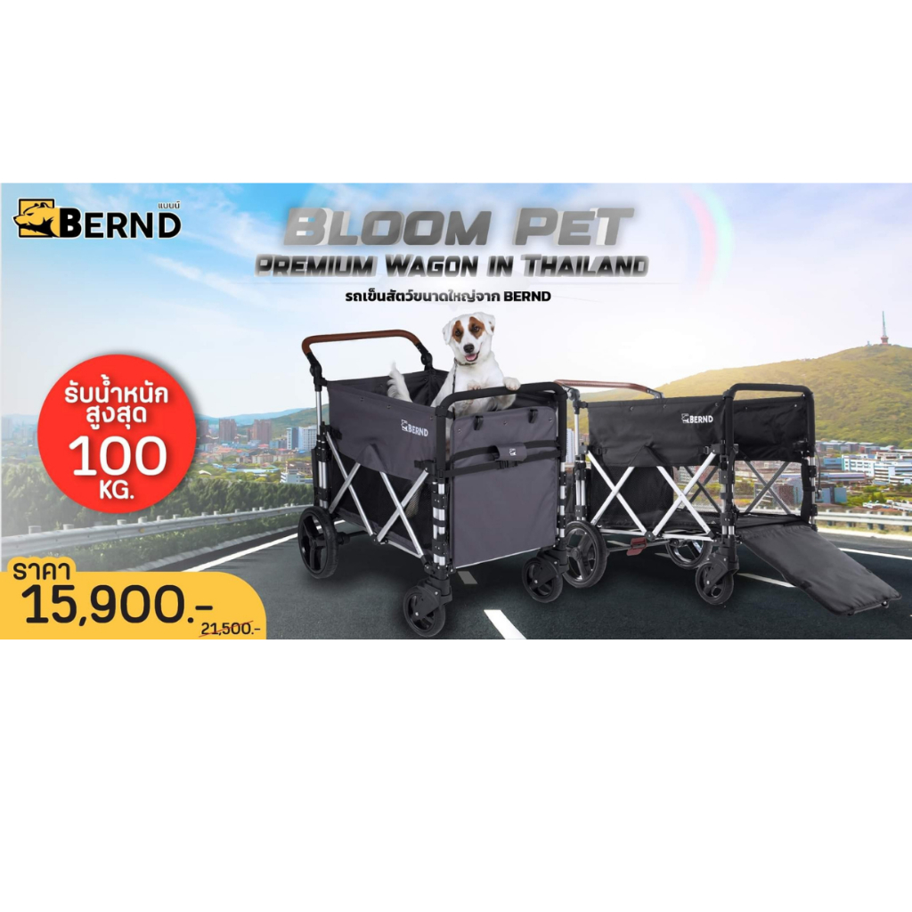 Bernd รุุ่น Bloom Pet รถเข็นสัตว์เลี้ยง และรถลาก ได้ในหนึ่งเดียว มีความ ...