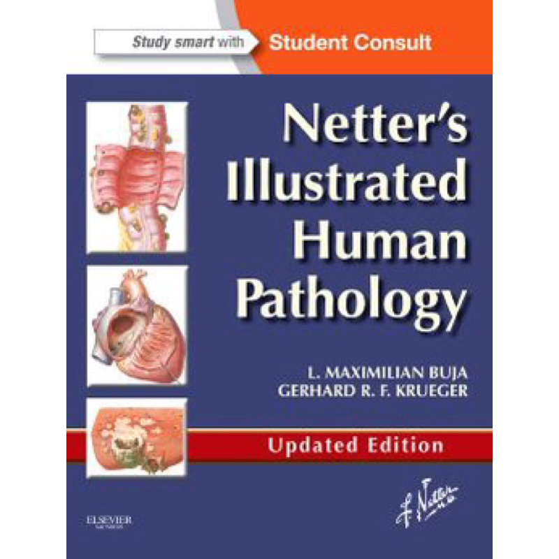[หนังสือ ยอดนิยม] Netter’s Atlas of Human Anatomy ตำรา กายวิภาคศาสตร์ ...