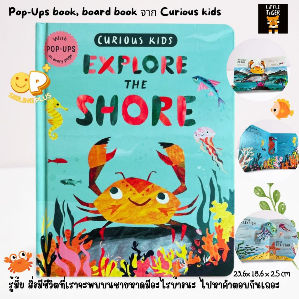 Pop Up book Curious Kids: Sea And Shore หนังสือป๊อบอัพบุ๊ค บอร์ดบุ๊ค ...