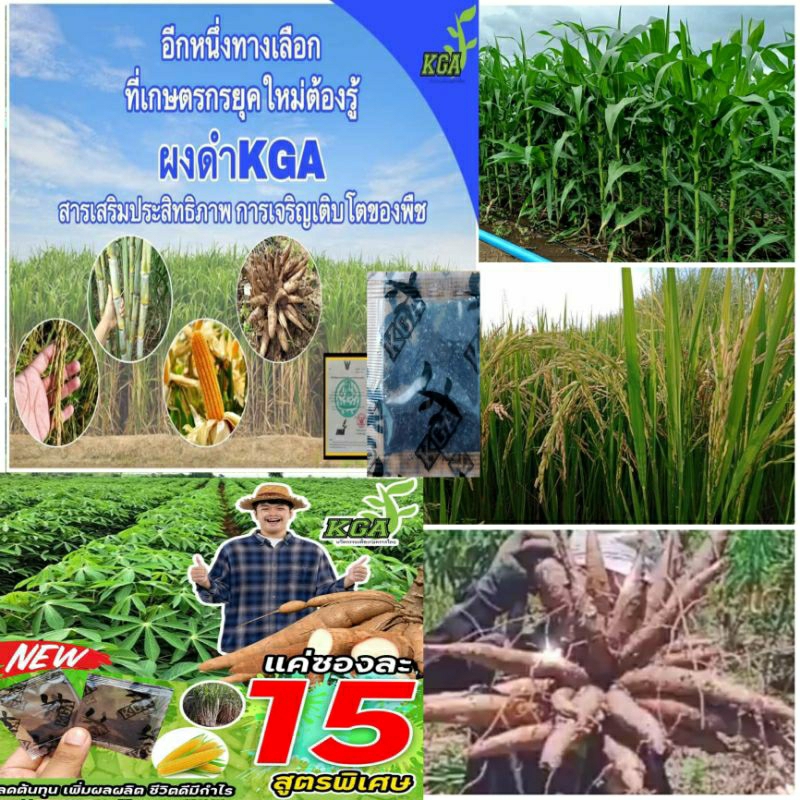 ผงดำKGA น้ำดำ KGAเพื่อ เกษตร ยุคใหม่ | Shopee Thailand