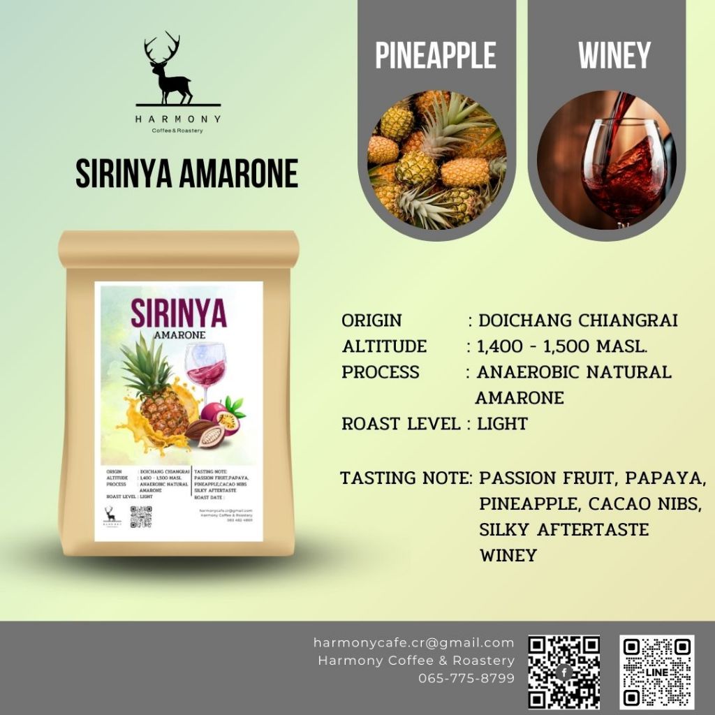 Harmony coffee เมล็ดกาแฟคั่วอ่อน Sirinya Amarone 100g. | Shopee Thailand