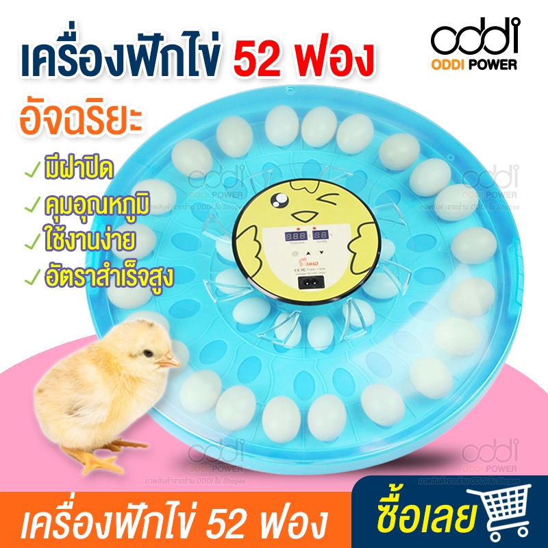 เครื่องสำหรับฟักไข่ CW11 , CW12 โอกาสฟักสำเร็จสูง สามารถฟักไข่ได้หลาย ...
