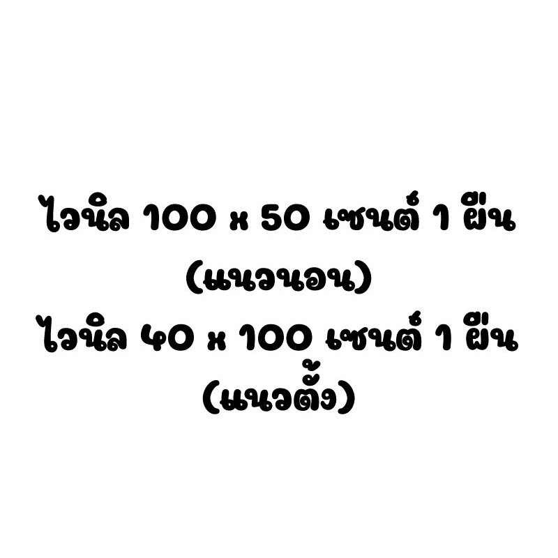 100 X 50 40 X 100 Shopee Thailand