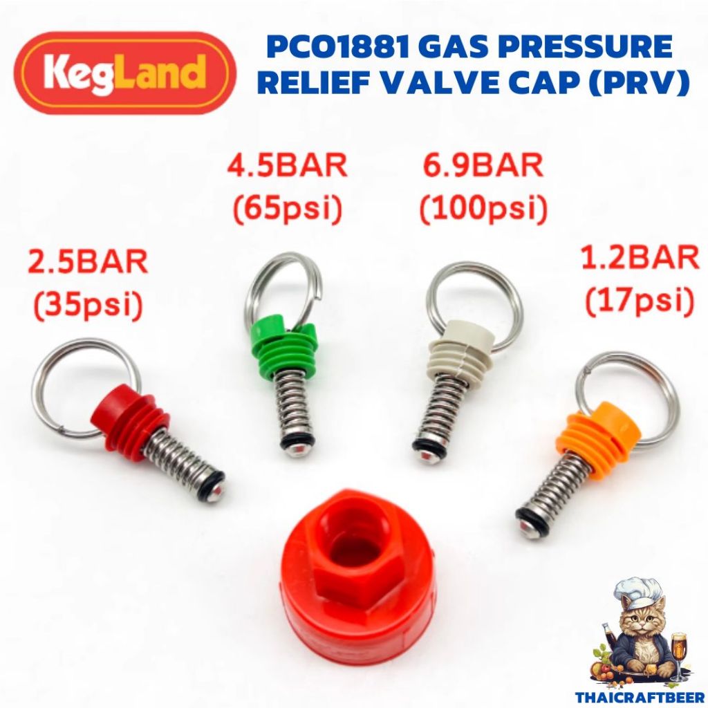 วาล์ว Gas Pressure Relief Valve Cap (PRV) KL20176 PCO1881 | Shopee Thailand