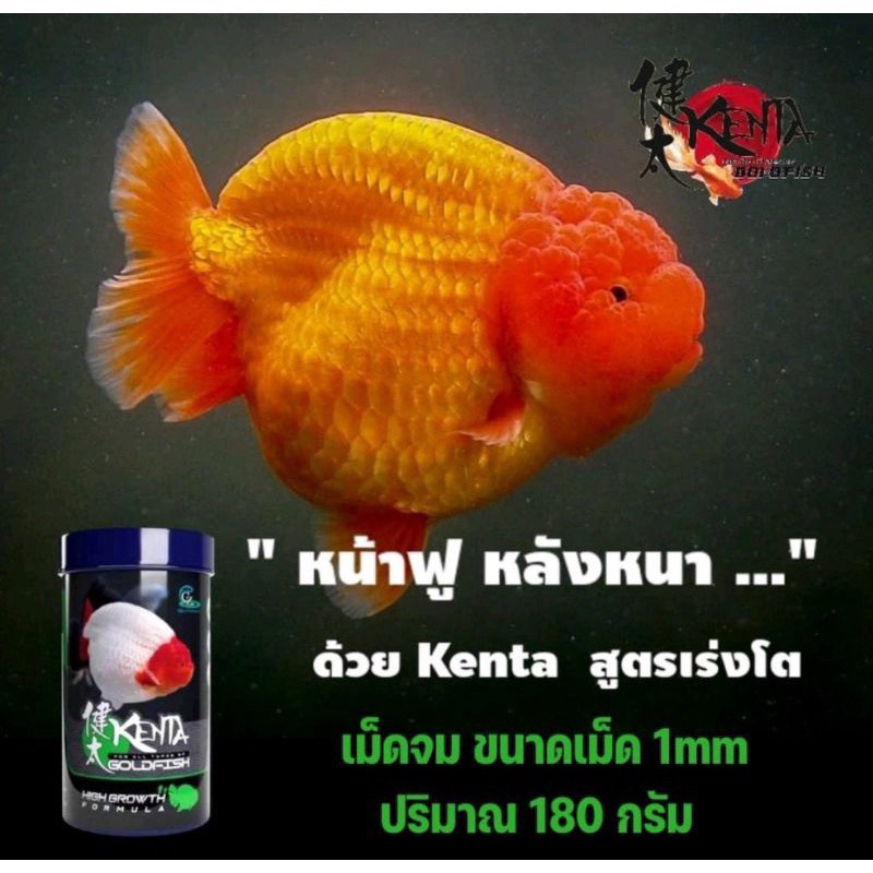 Kenta GoldFish Food อาหารปลาทอง Kenta สูตรขับลม ลดปัญหาท้องอืดเสียการทรงตัว | Shopee Thailand
