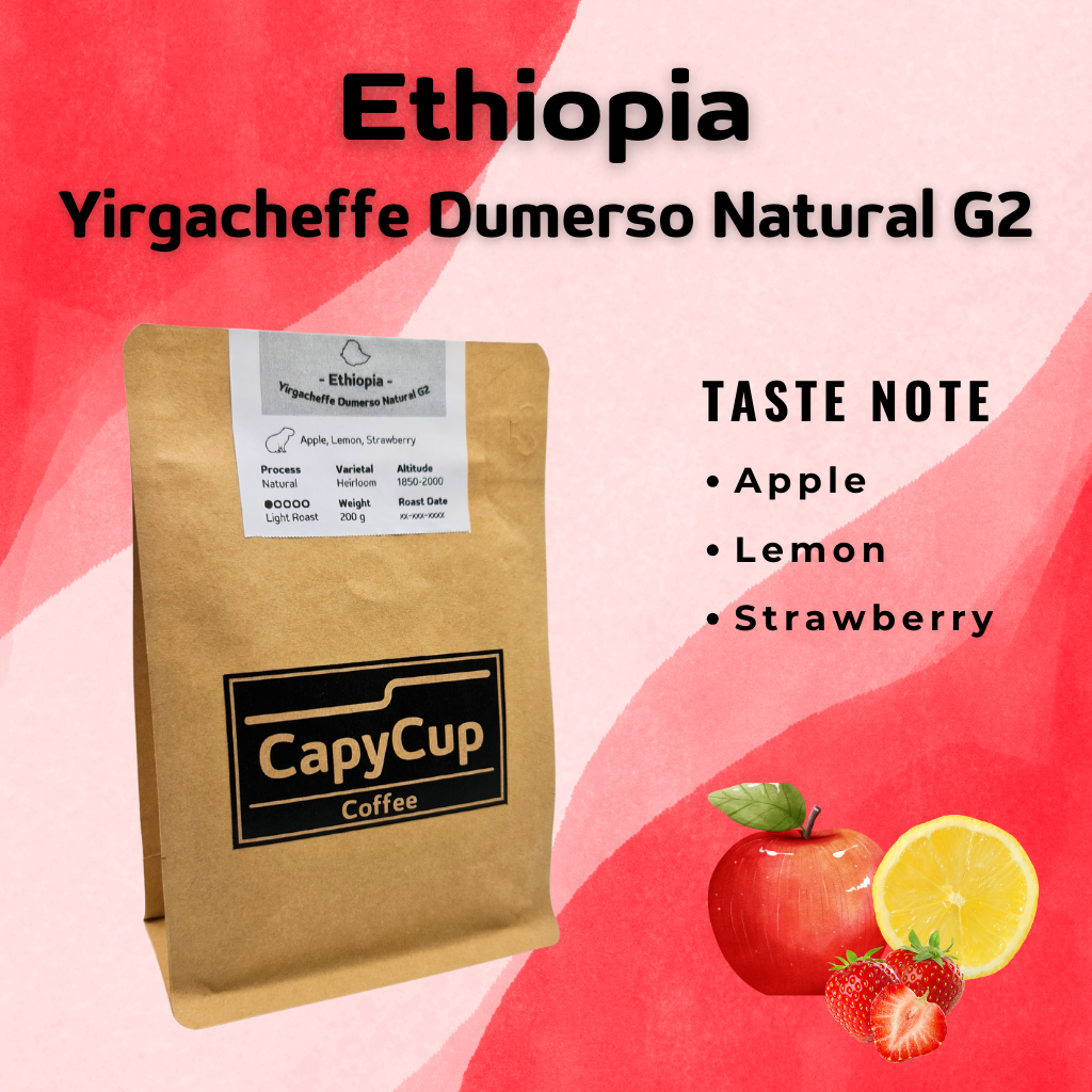 เมล็ดกาแฟ Ethiopia Yirgacheffe Dumerso Natural G2 - CapyCup Coffee ...