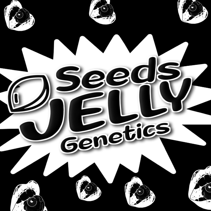 เมล็ด ลดราคา ค่าย Jelly seeds Genetics พร้อม แพ็คเกจ (เมล็ดคัดเมีย ...