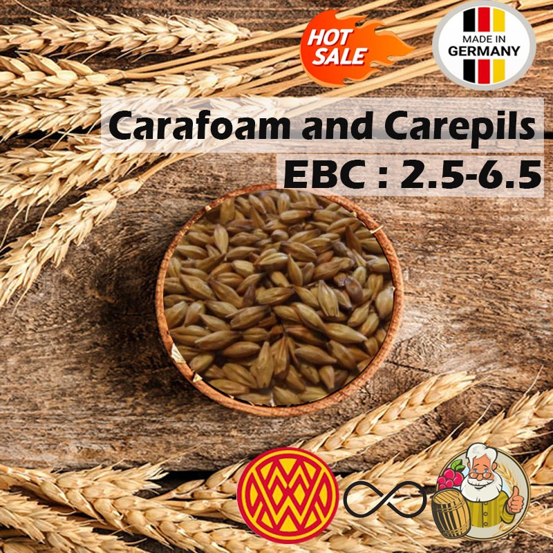 มอลต์ Pilsner, Wheat, Pale Ale, Vienna, MUNICH MALT TYPE 1, CARAPILS ...