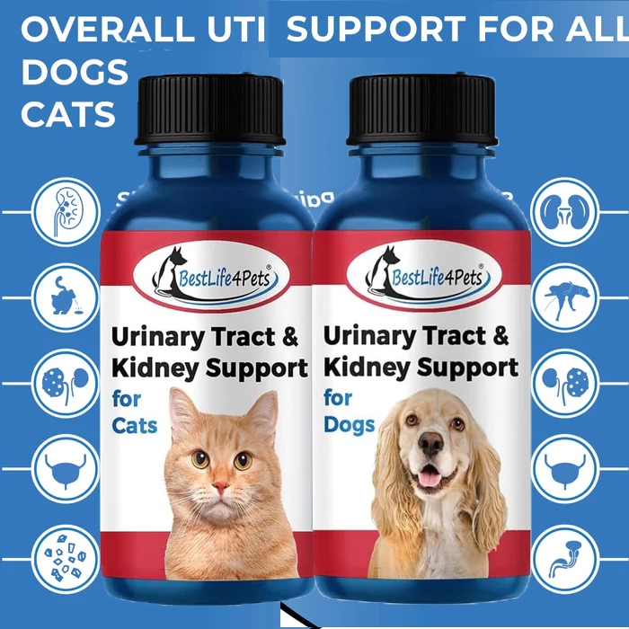 พร้อมส่ง วิตามินสำหรับน้องแมวและน้องหมา ฉี่ไม่ออก ฉี่ปนเลือด เสริมทางเดินปัสสาวะ Exp.01/24 ...