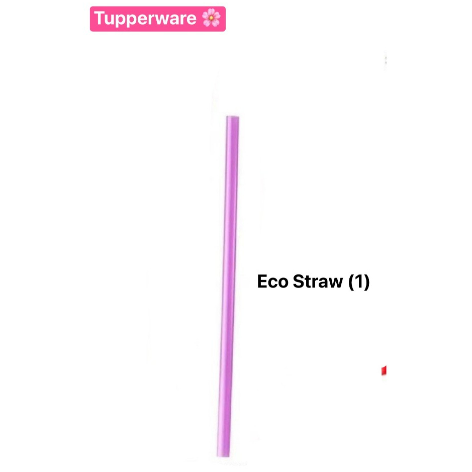 หลอดและแปรง Tupperware รุ่น Go Eco Straw & Brush Set | Shopee Thailand