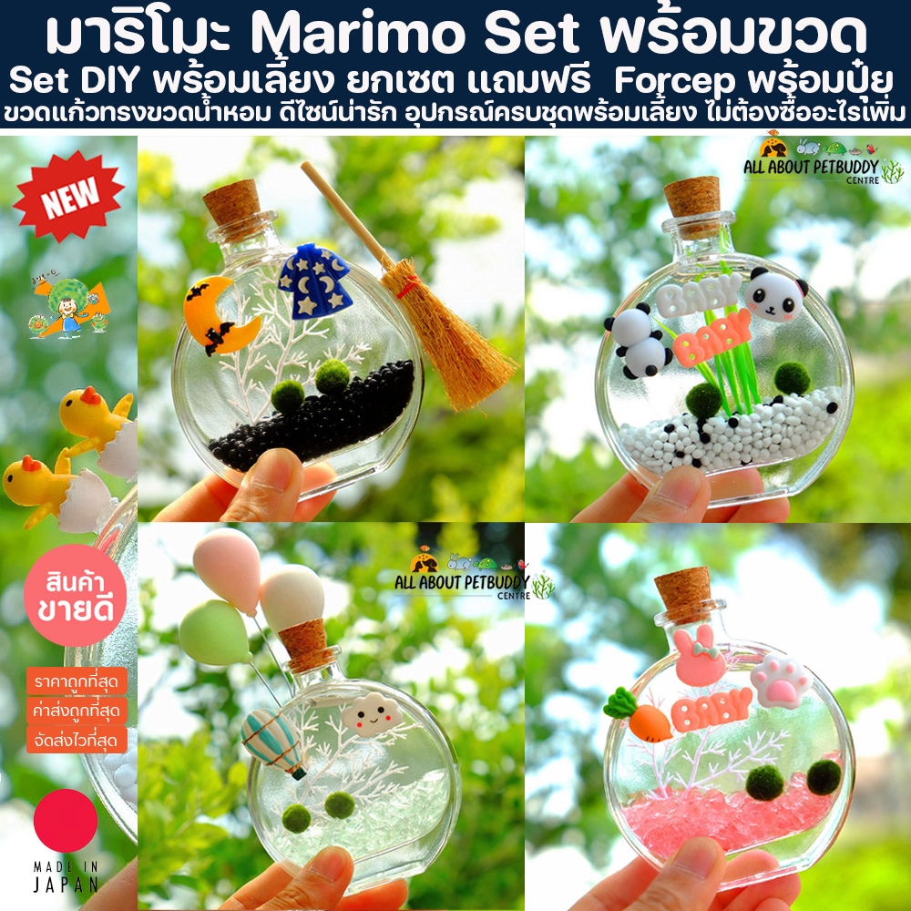 ชุดพร้อมเลี้ยงมาริโมะ Marimo Set ขวดทรงน้ำหอม แถมฟรีอุปกรณ์ครบชุดพร้อมเลี้ยง สาหร่ายตกแต่งตู้ปลา ...
