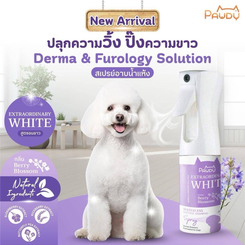 Pawdy Spray สเปรย์อาบน้ำแห้งสุนัข สูตร Natural ขนขาว ขนกระจ่างใส ขจัด ...
