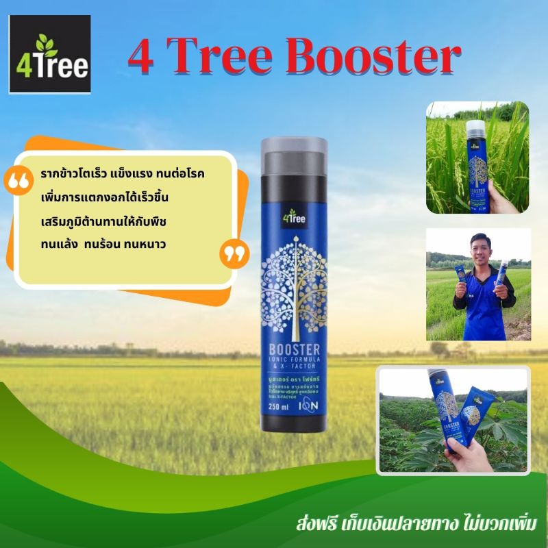 Booster ( 4 Tree) | Shopee Thailand