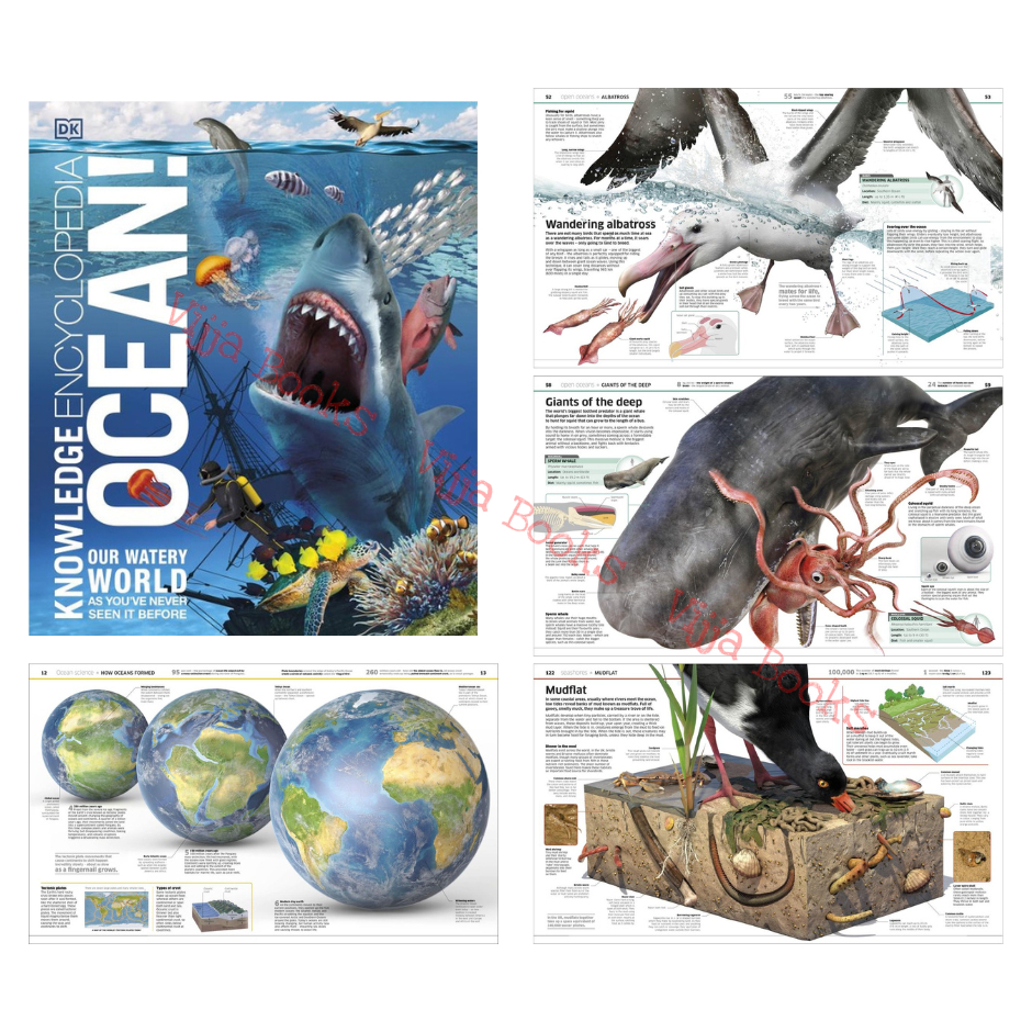 Knowledge Encyclopedia Earth Science Ocean Space Animal สารานุกรม ภาษา ...