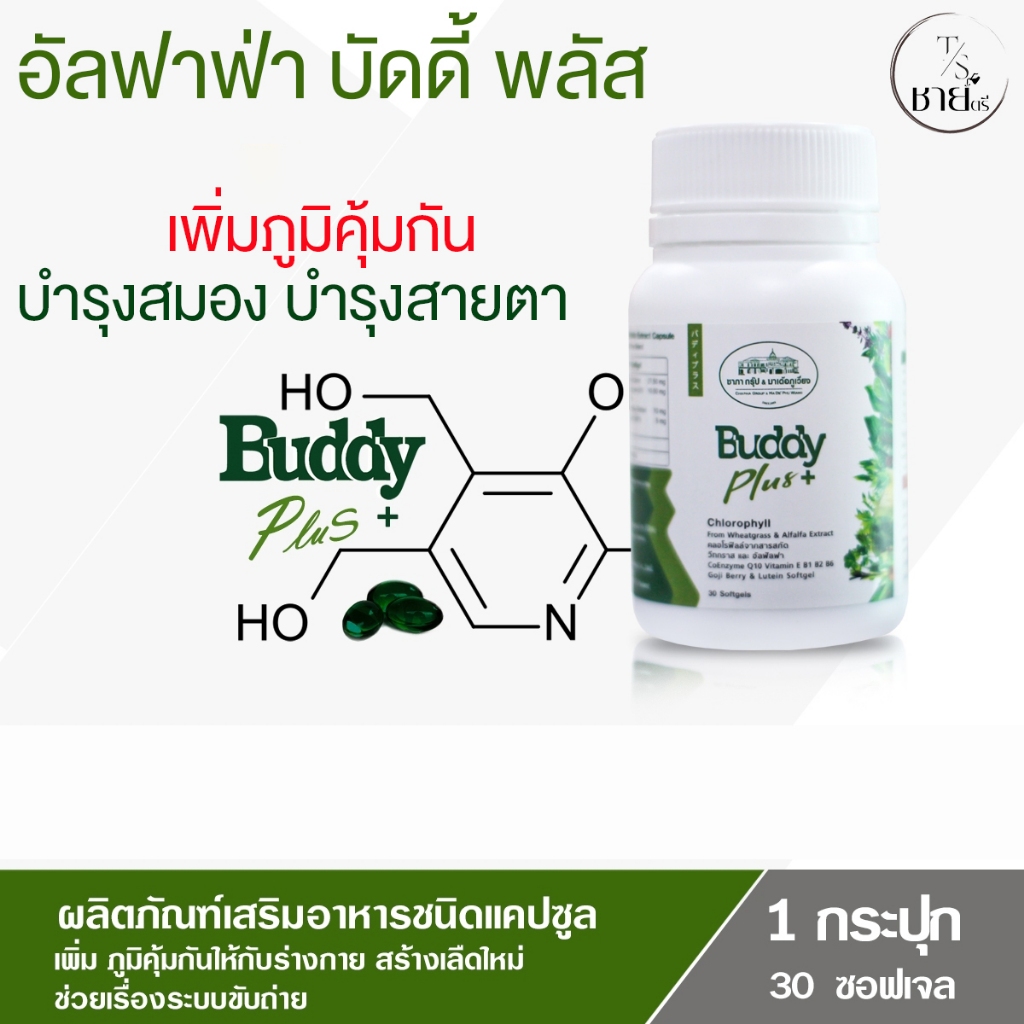 ผักเม็ด Alfalfa Buddy Plus ชาภากรุ๊ป 1 กระปุก 30 เม็ด (ซอฟเจล) | Shopee ...
