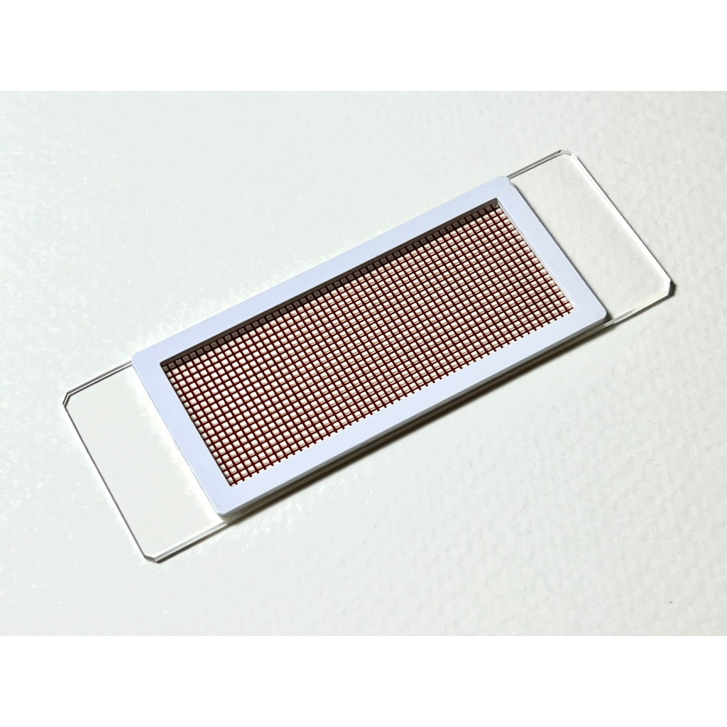 Sedgewick Rafter cell Slide, แผ่นนับเซลล์ ,สไลด์นับจำนวน,Counting Slide ...