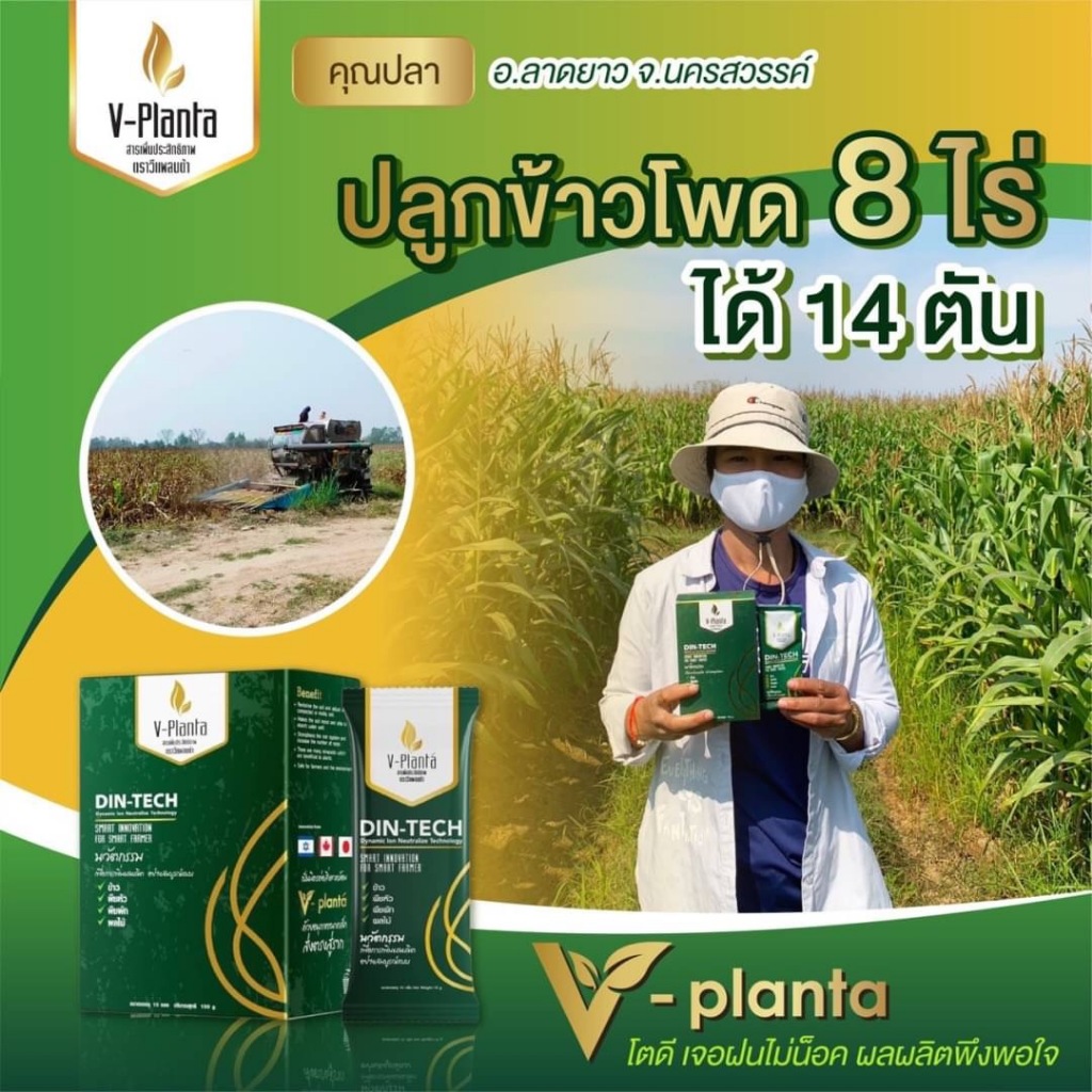 10ซองวีแพลนต้า แท้ สูตรไดนามิคไอออน V-Planta 1 กล่อง 10 ซอง ปุ๋ย ปุ๋ยยูเรีย ปุ๋ยน้ำทางใบ ...