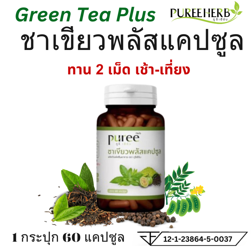 Puree Herb Green Tea Plus ภูรีเฮิร์บ ชาเขียวพลัส ชาเขียว คุมหิว เร่ง ...