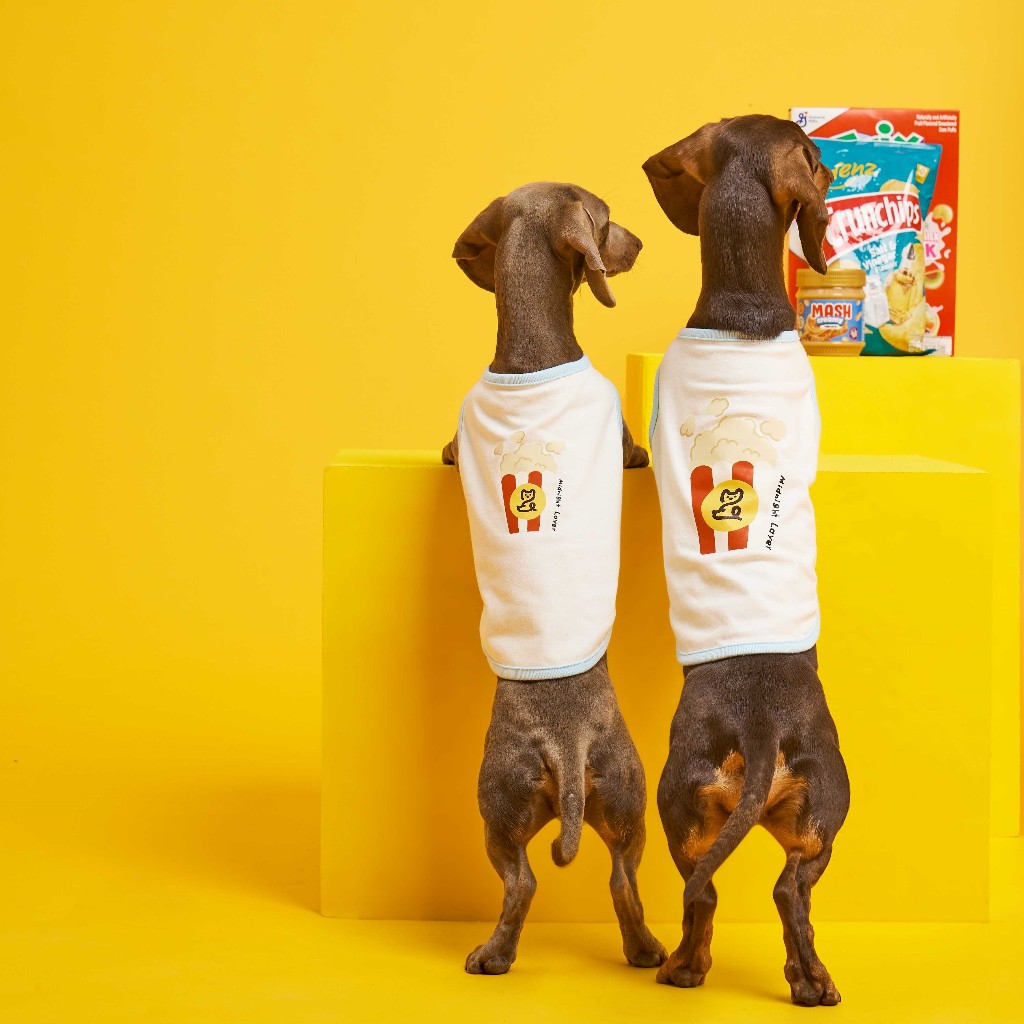 Midnight Layer – All Day Brunch Collection - เสื้อผ้าสัตว์เลี้ยง (Popcorn) | Shopee Thailand