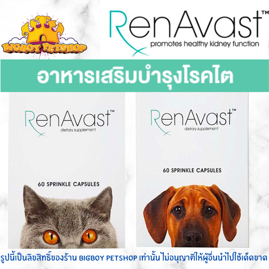 RenAvast [ของแท้] เรนอะวาสท์ อาหารเสริมบำรุงโรคไต สำหรับสุนัขและแมว ...