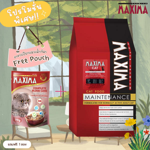 ส่งตรงจากโรงงาน อาหารแมว 2กก. MAXIMA CAT MAINTENANCE 2 KG. แถมฟรี อาหาร ...